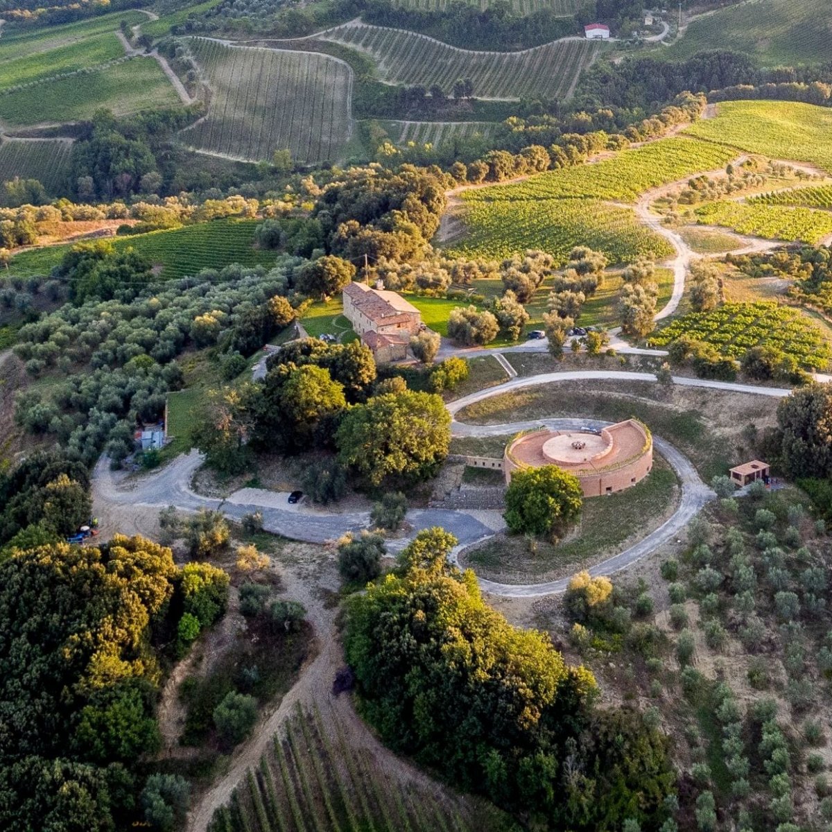 Podere le Ripi - Vinformidlingen